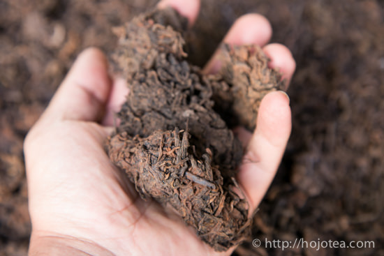 Post Fermented Tea | HOJO Online Speciality Tea Shop