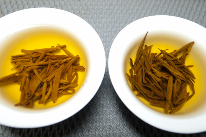 Black Tea Processing | HOJO Online Speciality Tea Shop