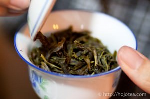HOJO online speciality tea shop, we select teas directly from its ...