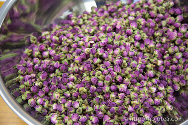 Herbal Tea and Flower Tea | HOJO Online Speciality Tea Shop