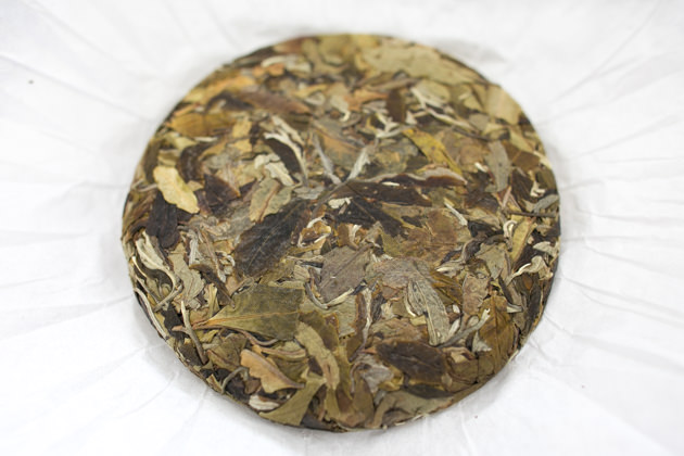 White Tea | HOJO Online Speciality Tea Shop