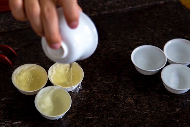 Oolong Tea | HOJO Online Speciality Tea Shop