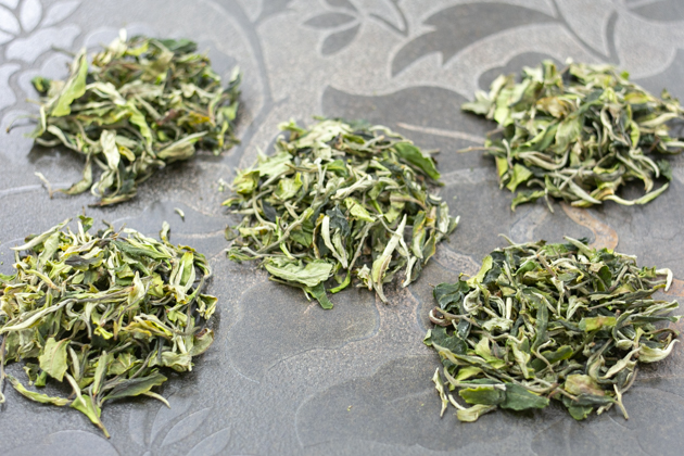 New Arrival at HOJO Online Shop | HOJO Online Speciality Tea Shop