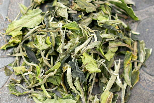 HOJO online speciality tea shop, we select teas directly from its ...