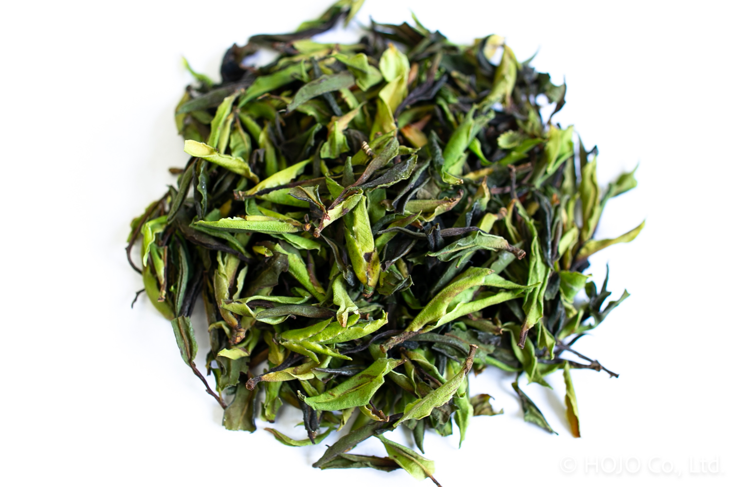 White Tea | HOJO Online Speciality Tea Shop